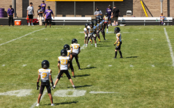 Darien Swarm Football & Cheer > Home